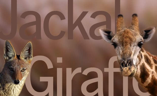 Jackal and Giraffe Language